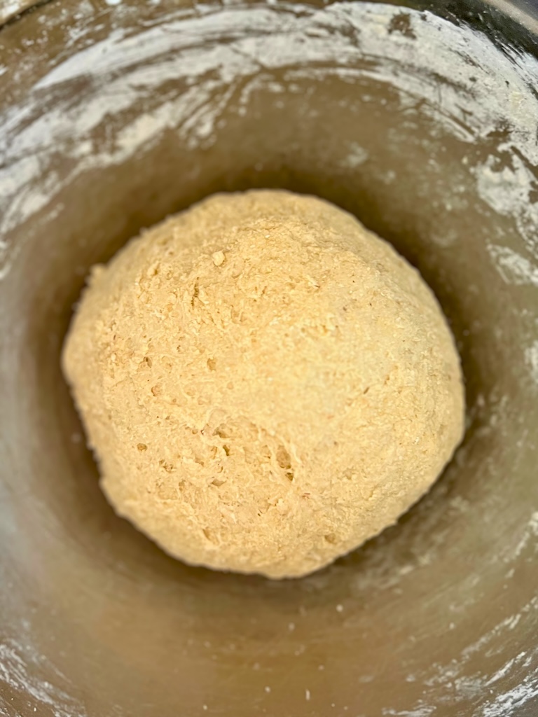 GF Sourdough Dinner Rolls Dough 2 – Sourdough and Such